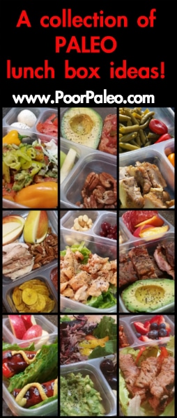 More Paleo Lunch Box Ideas That Savage Life